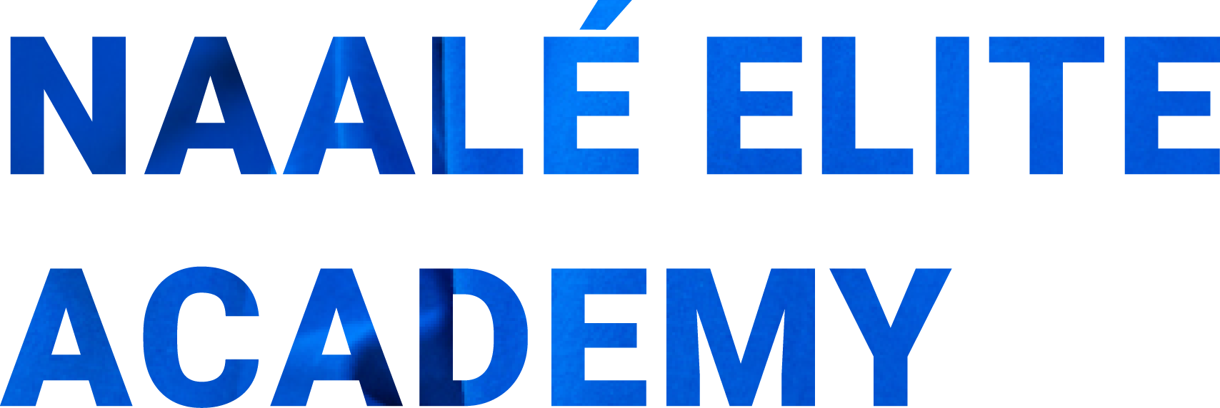 Page D'accueil • Naale Elite Academy
